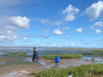 Wilder Humber | Lincolnshire Wildlife Trust