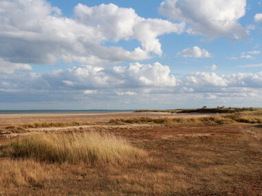 Nature Recovery Fund | Lincolnshire Wildlife Trust