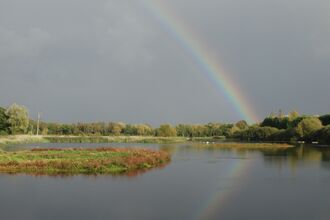 Home | Lincolnshire Wildlife Trust