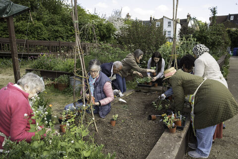 Call for nature-friendly community projects | Lincolnshire Wildlife Trust