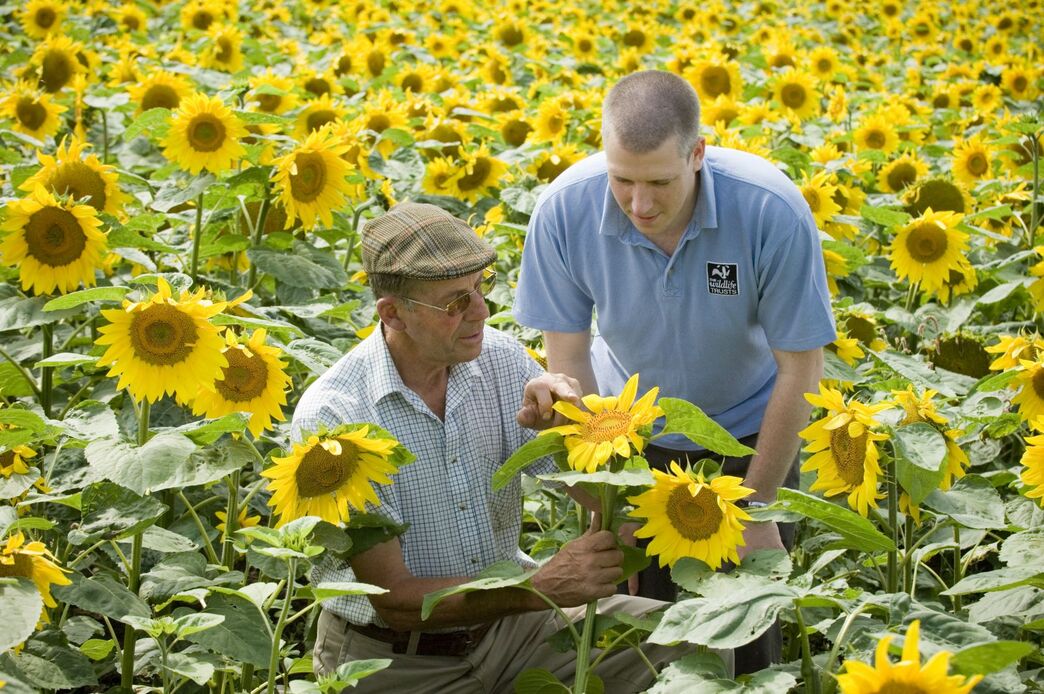 Vine House Farm | Lincolnshire Wildlife Trust
