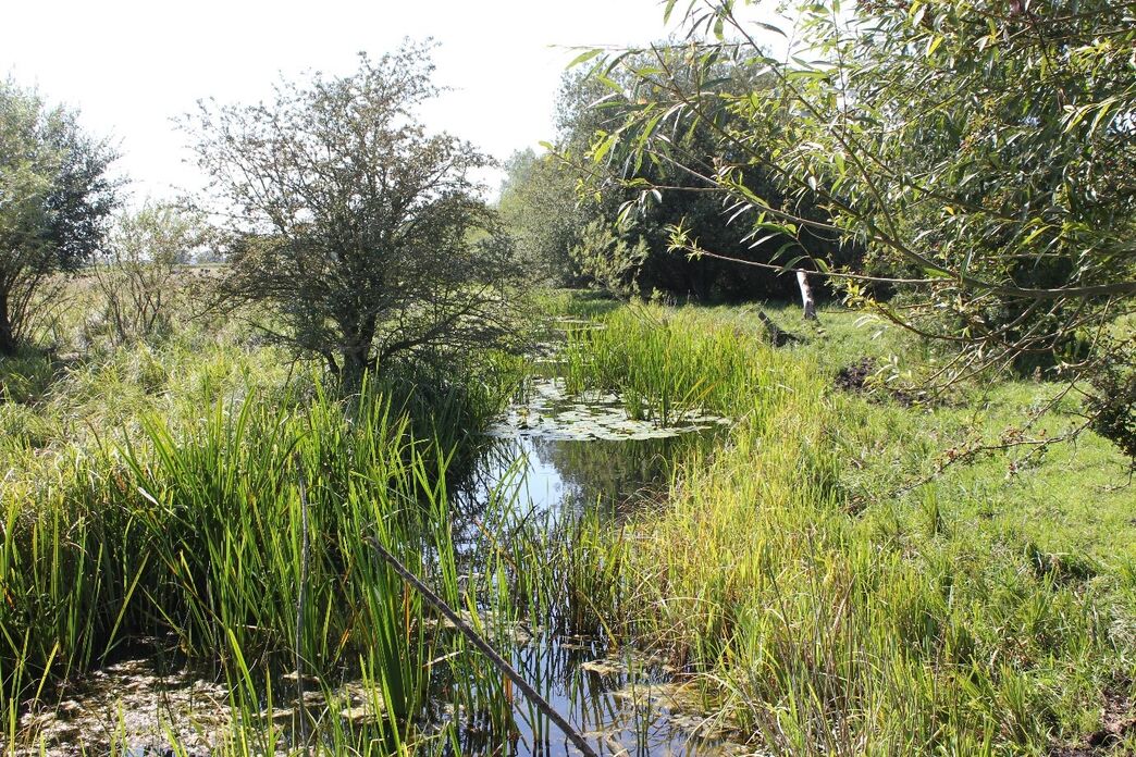 The Natural History Museum Comes to Lincolnshire | Lincolnshire ...
