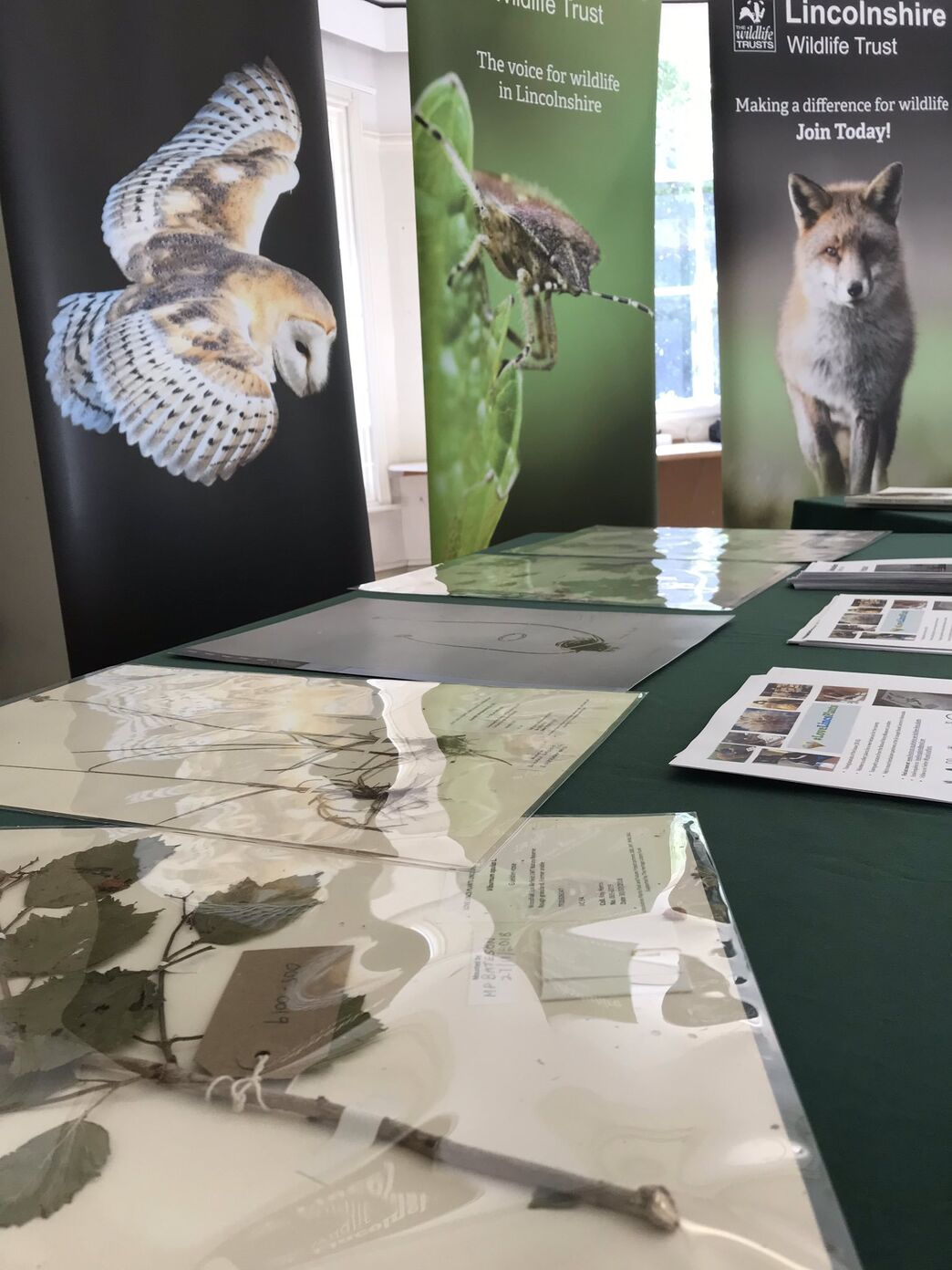 Heritage Open Day | Lincolnshire Wildlife Trust