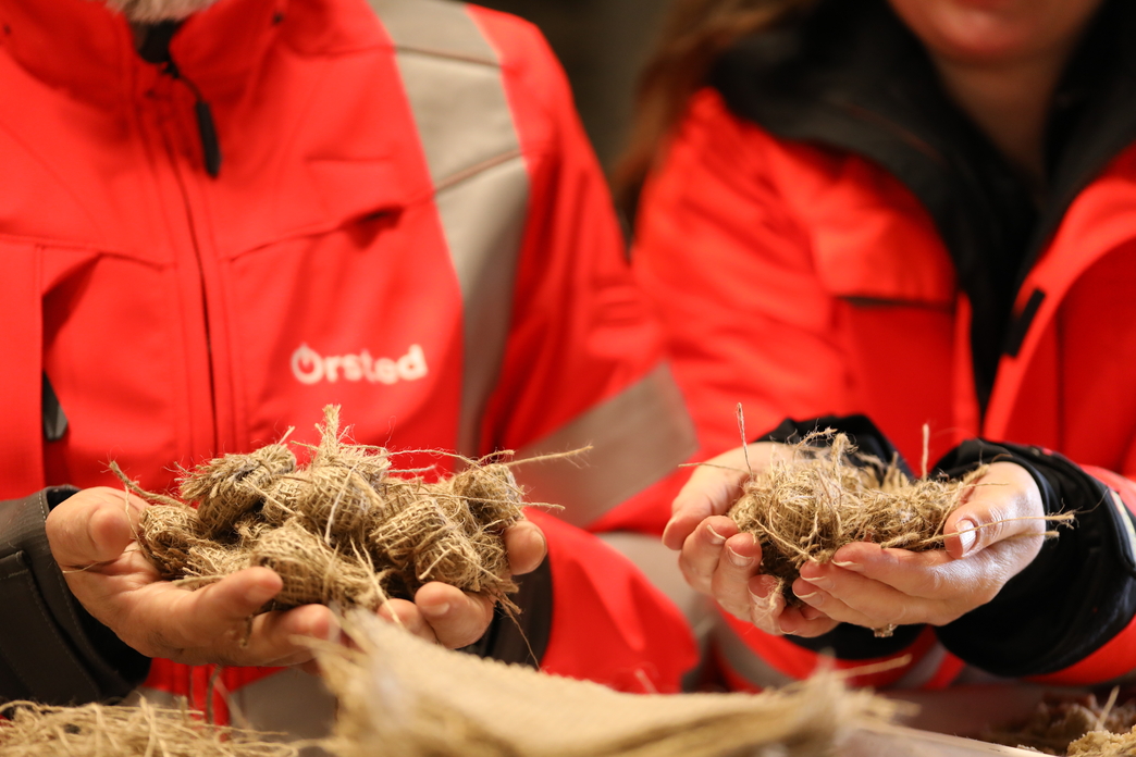 Wilder Humber: new partnership programme restoring Humber habitats and ...