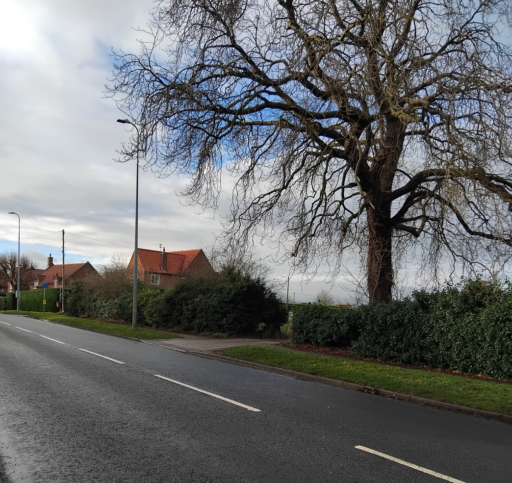 Grantham Area Group | Lincolnshire Wildlife Trust