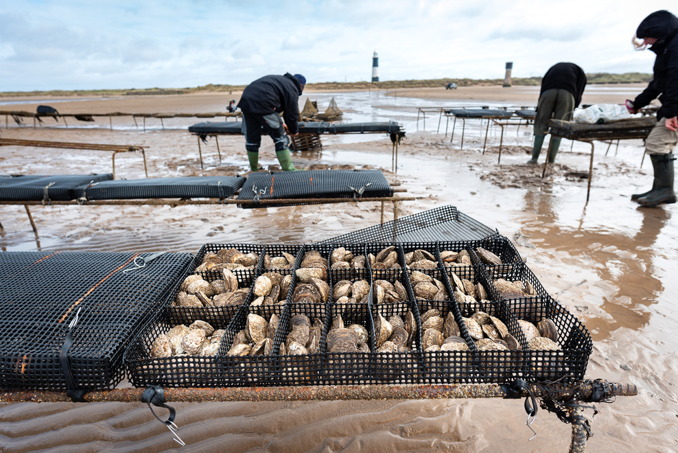 Wilder Humber | Lincolnshire Wildlife Trust