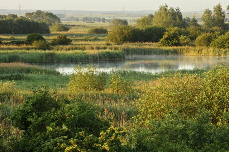 Fens East Peat Discovery Project | Lincolnshire Wildlife Trust